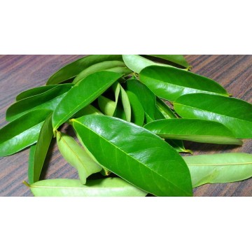 Fresh Vegetables (3)